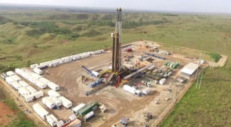 Fered Company – Juntos construimos el futuro